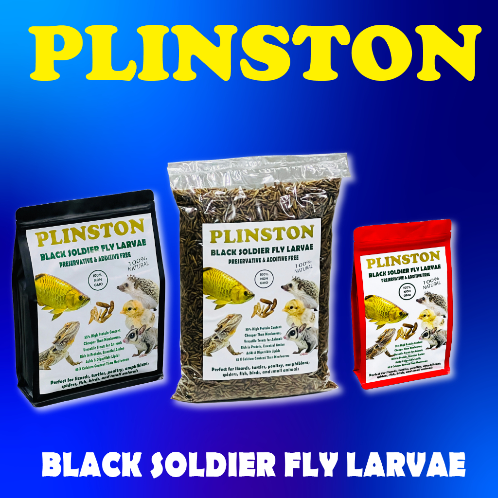 PLINSTON Sugar Glider Food Black Soldier Fly Larvae BSFL Super Food ...