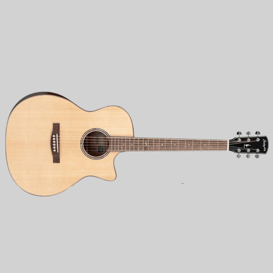 Livingston V02F 40" Solid Top Grand Auditorium Acoustic-Electric Guitar ...