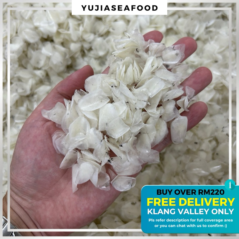 [KL&SGR SAHAJA] Collagen Dried Deep Sea Fish Scale / Collagen Fish ...