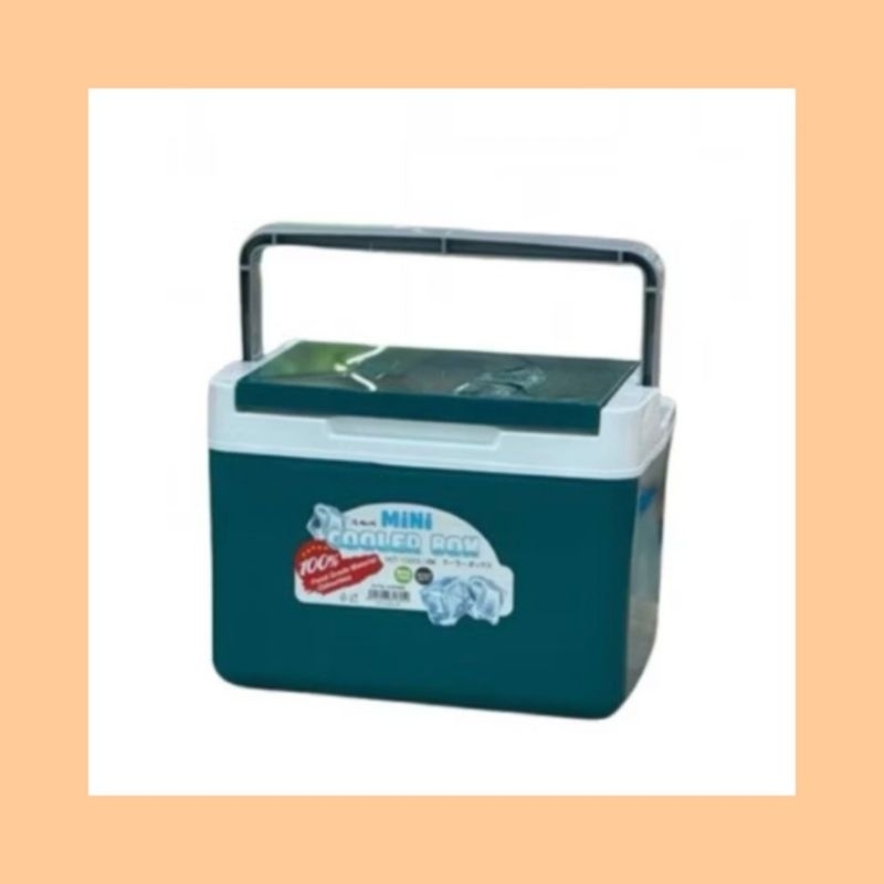 [Ready Stock] TECH99 Lava 5L Mini Ice Bucket Mini Cooler Box Ice Box ...
