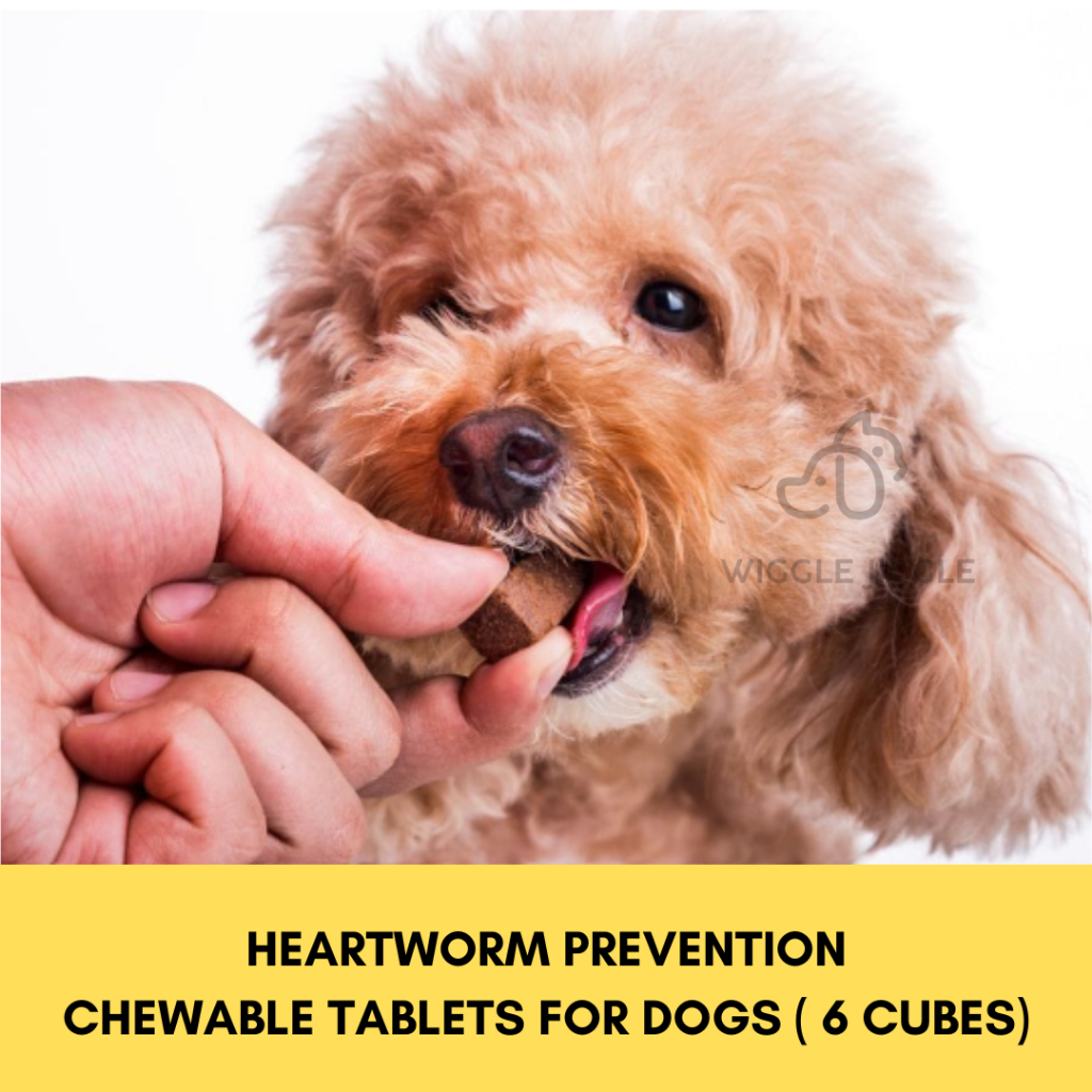 Heartworm Prevention Chewable Tablets (1 box = 6 cubes) | Shopee Malaysia