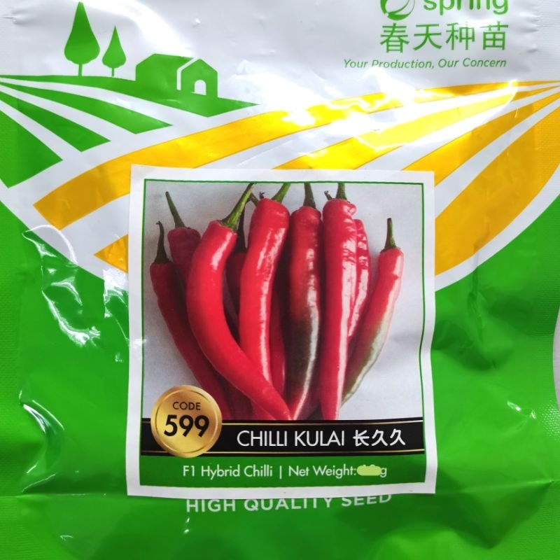 20 biji benih cili kulai SS599 F1 Hybrid Chilli Spring SS 599 new seeds ...