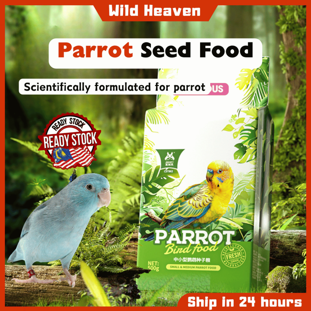 Small Parrot Seed Feed Cockatiel Food Love Bird Mix Pallet Cockatiel ...