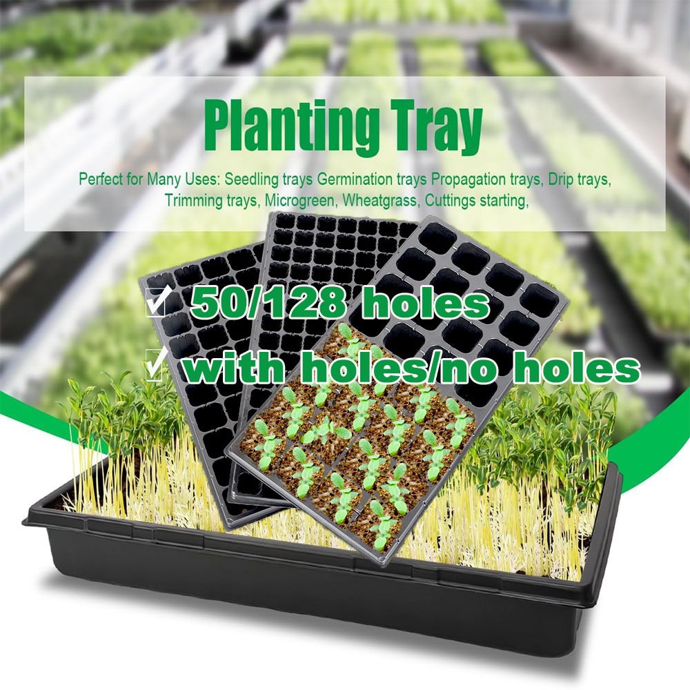 21 50 128 200 Holes Seeding Tray Plastic Nursery Tray Bekas Benih ...