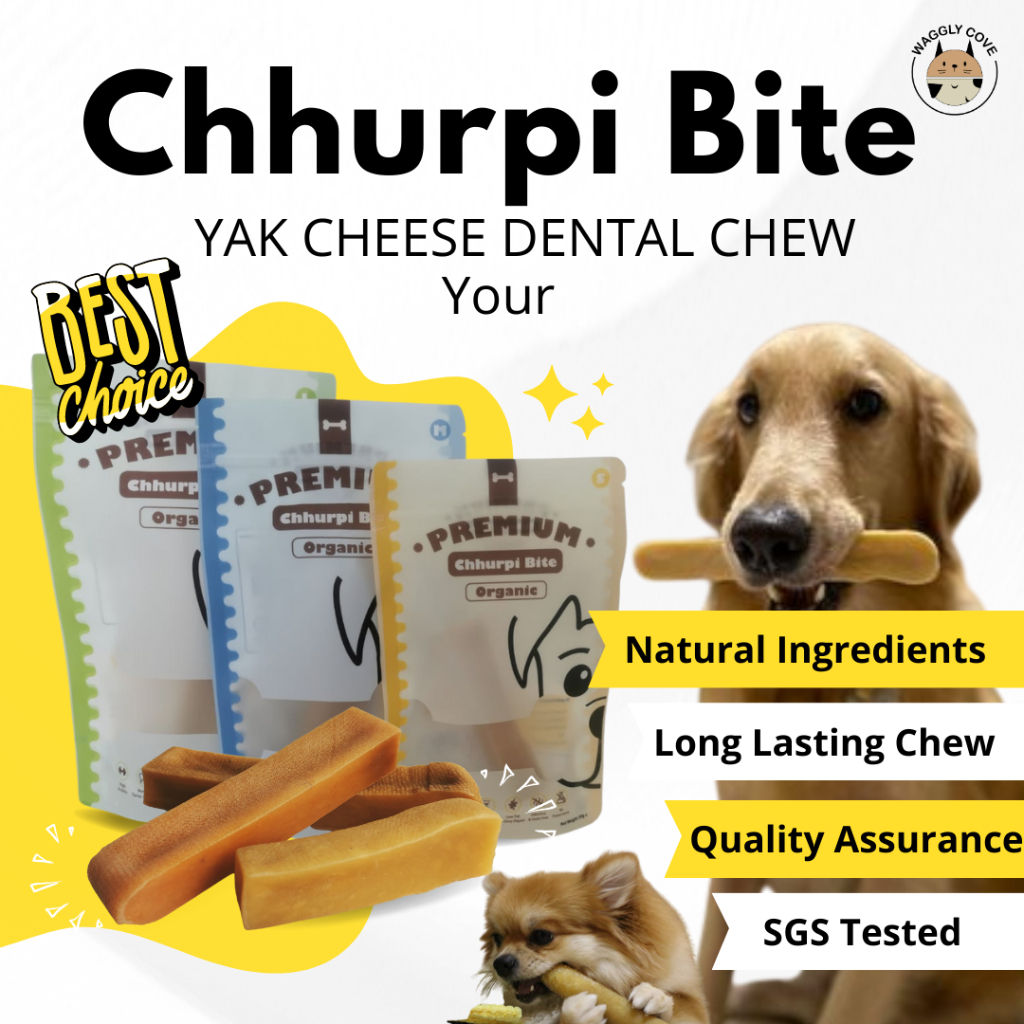 WagglyCove Premium Chhurpi Bite Yak Cheese (Flavored) - Natural dental ...