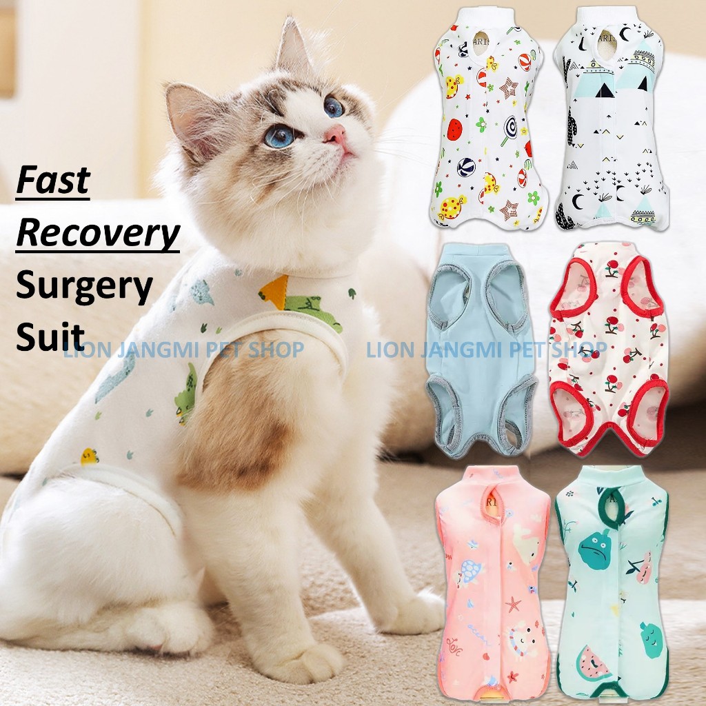 Selepas Surgeri - Baju Kucing Jantan Betina Mandul - Pet Cat Recovery ...