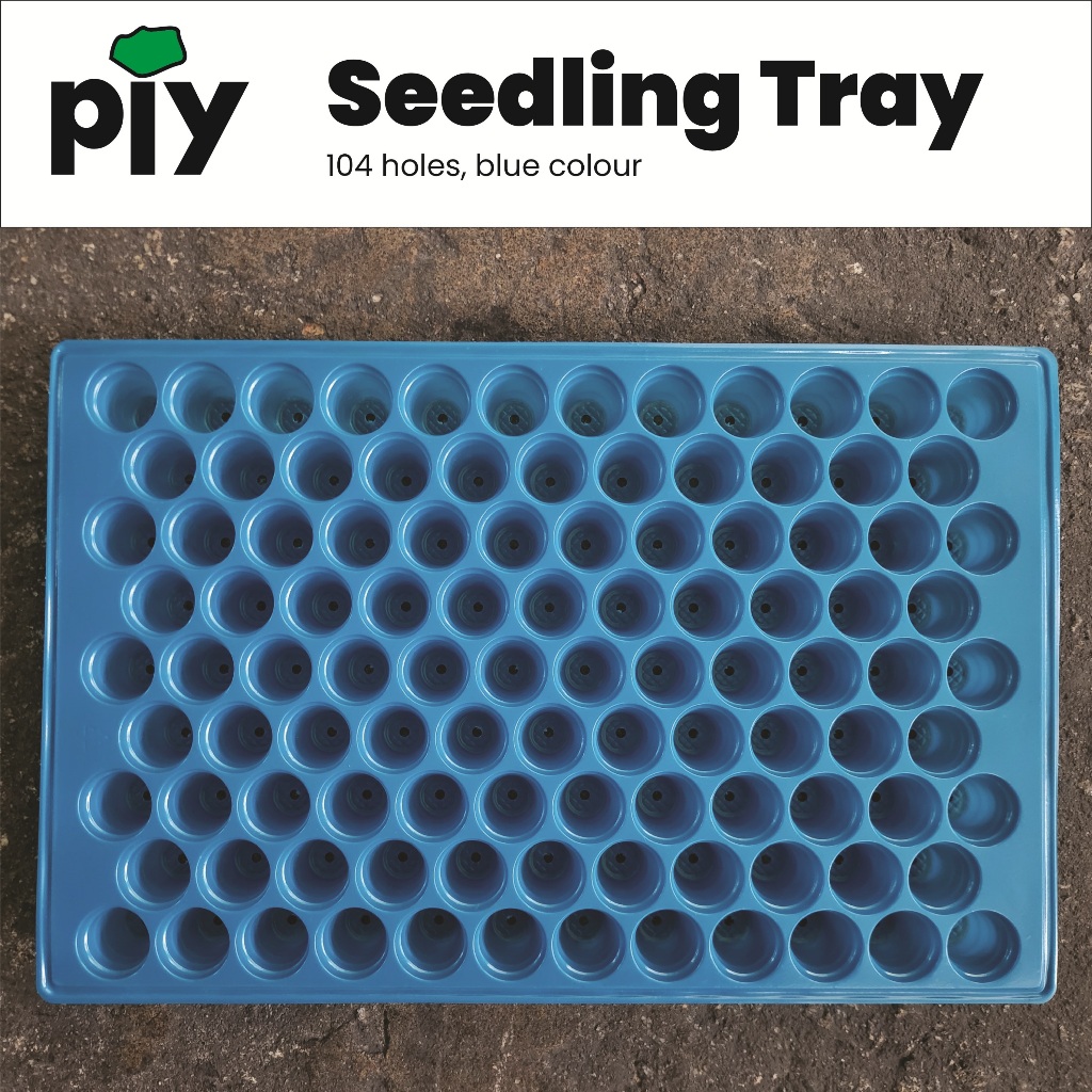 [SET OF 3] TRAY SEMAIAN BIRU 104 lubang / BLUE SEEDLING TRAY 104 holes ...