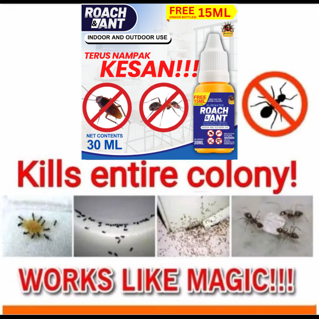 Original Dr Settle Roach & Ant Umpan (30ML) Semut & Lipas Cockroach ...