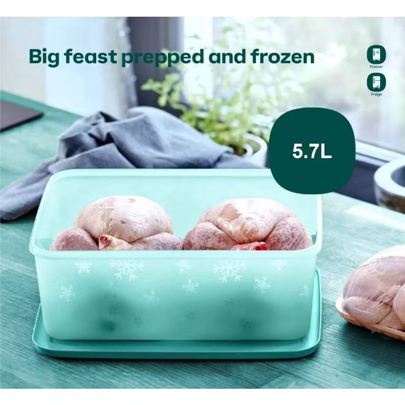 Tupperware FreezerMate Gen II Large High (1pc) 5.7L | Shopee Malaysia