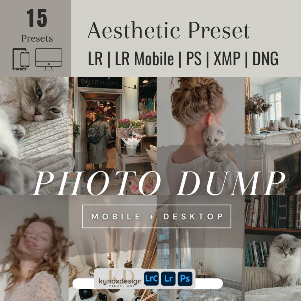 [Lightroom Preset] Aesthetic Preset - Photo Dump for LR/LR(mobile)/PS ...