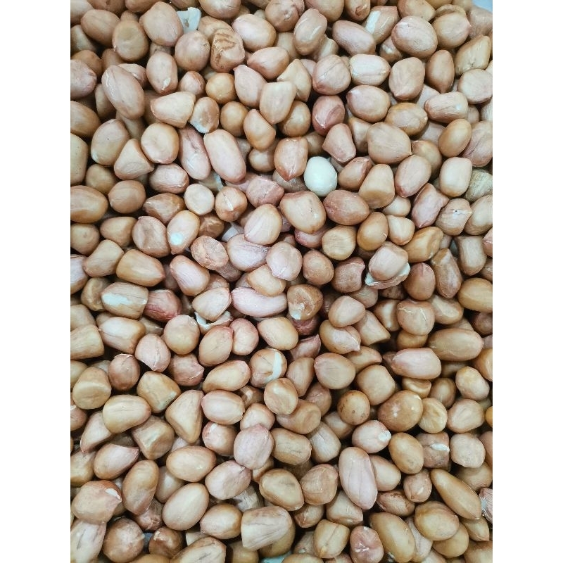Premium Grade White Skin Peanuts 500g 精选高品质白皮花生 | Shopee Malaysia