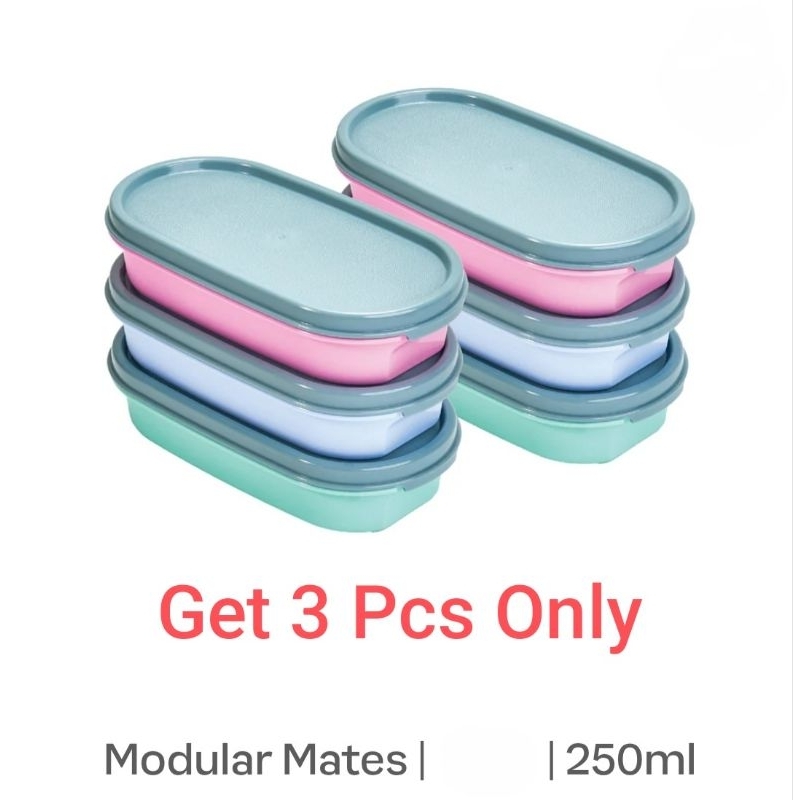 TUPPERWARE Modular Mate Oval 250ml(1 or 3 Pcs) | Shopee Malaysia