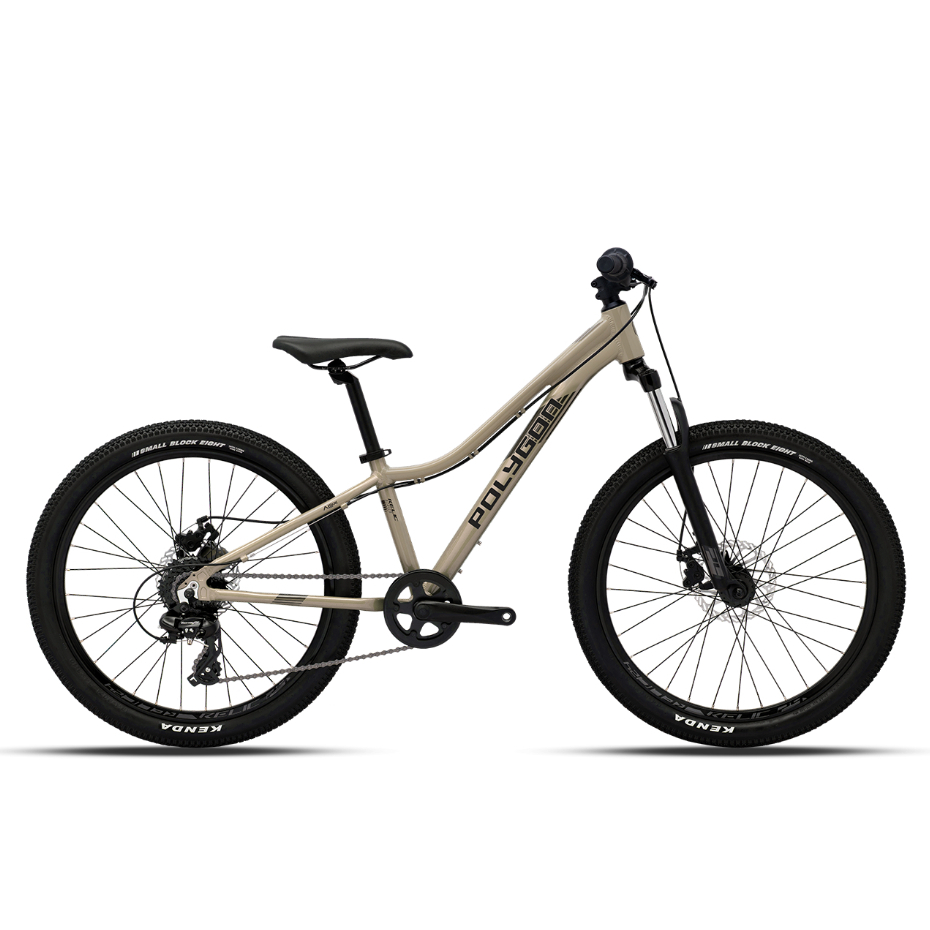 [POLYGON] RELIC 24 12A 24 INCH 8 SPEED KIDS MOUNTAIN BIKE | Shopee Malaysia