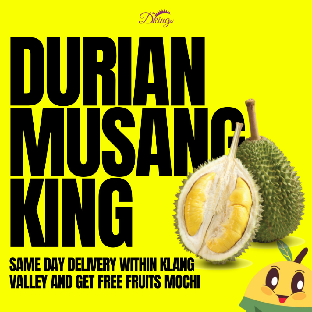 [MEGA LIVE] 300g FRESH Durian Musang King D197 | Blackthorn D200 | XO ...