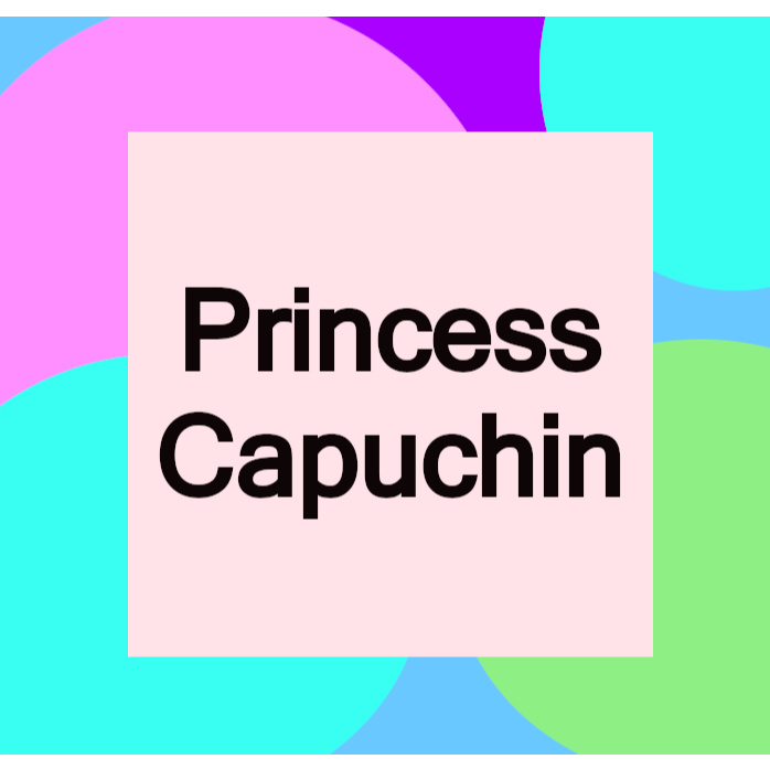A.D.M - PRINCESS CAPUCHIN IN TYPE P4 GAME EDITION (PC GAME) | Shopee ...