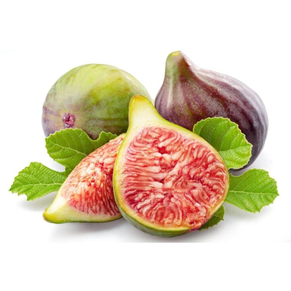 100 pcs biji benih pokok fig/Fig fruit seeds无花果种子 | Shopee Malaysia
