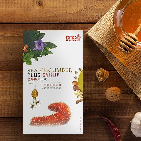 🔥 DNG Sea Cucumber Plus Syrup 金海参川贝蜜 - Ubat Batuk Natural, Boost ...