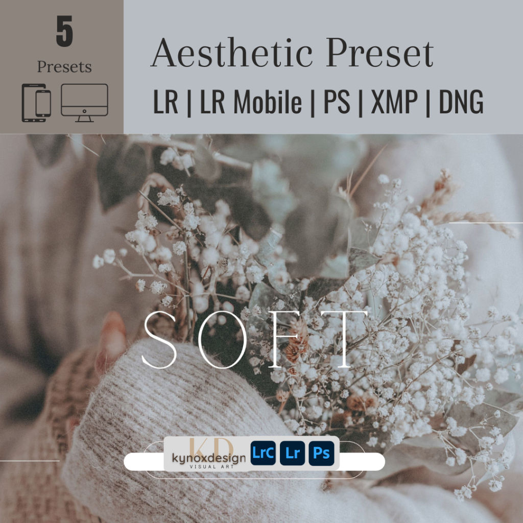 [Lightroom Preset] Aesthetic Preset - Soft for LR/LR(mobile)/PS (Latest ...