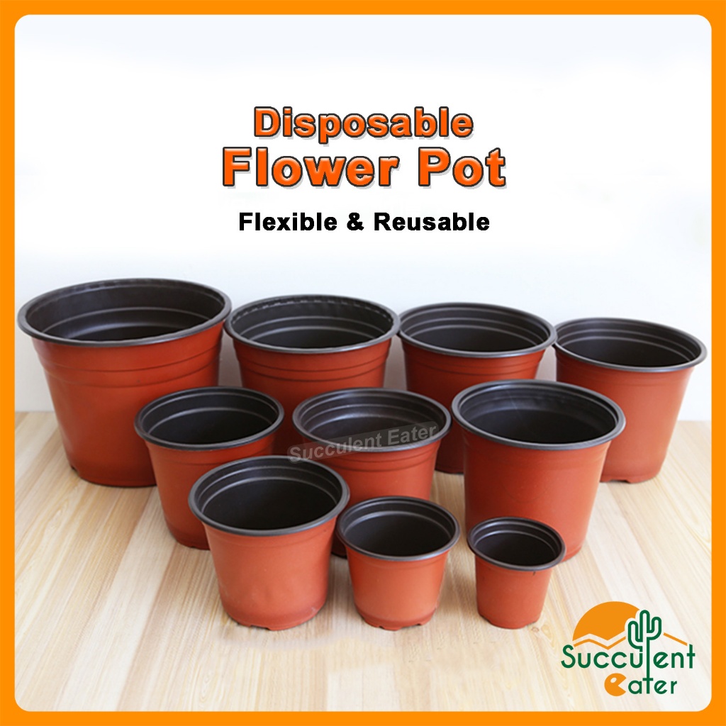 Disposable Pot Pasu Nursery Plastic Flower Plant Pot Plastic Semaian ...