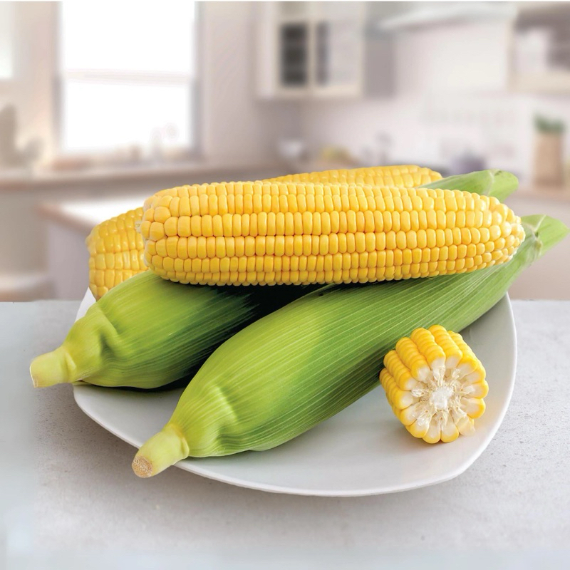 Jagung Manis fresh gred A (5 pcs) | Shopee Malaysia