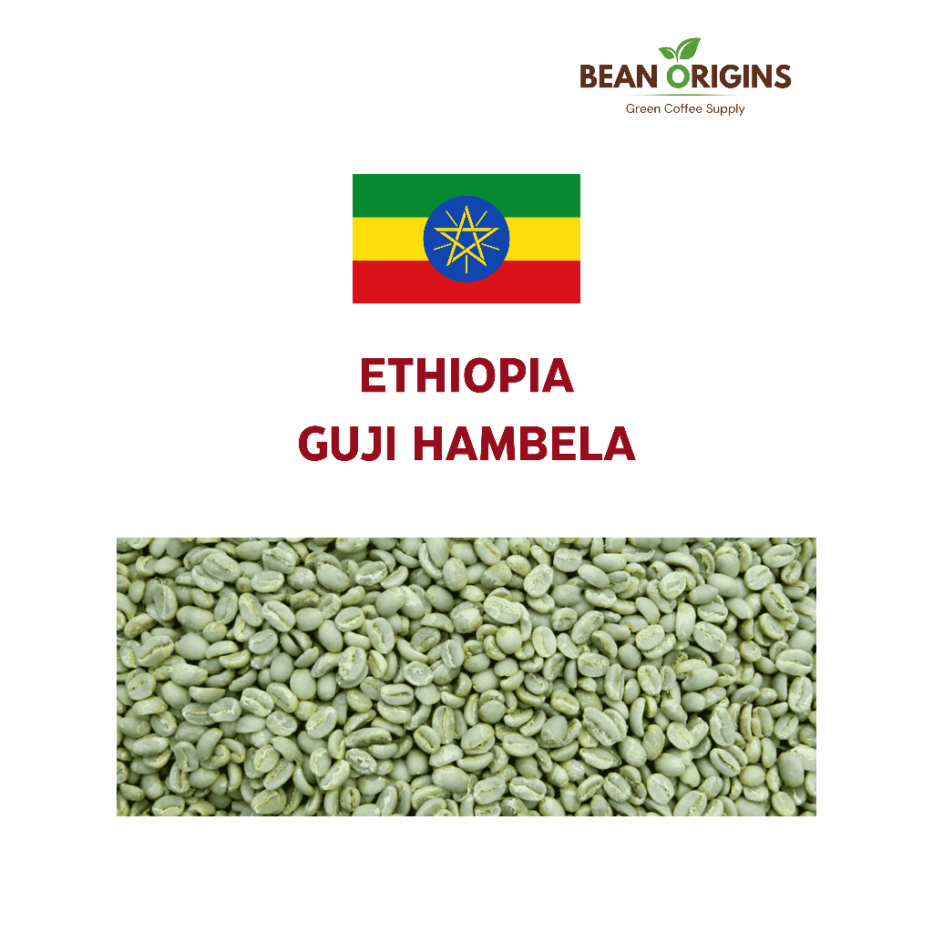 Unroasted Ethiopia Guji Hambela Washed Grade 1 Arabica Raw Coffee Bean I 400g I 1kg | Shopee ...