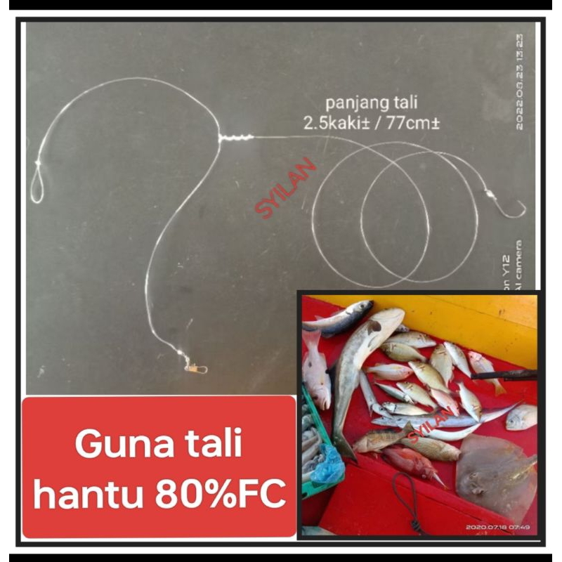 Perambut T,knot.Pari,siakap,jenahak dll. | Shopee Malaysia