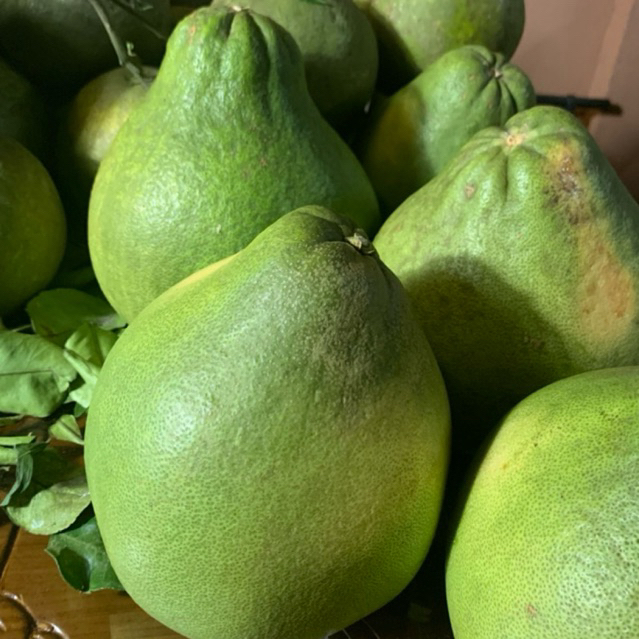 LIMAU BALI A/AA/AAA/+++ MERAH MANIS SIKIT MASAM | Shopee Malaysia