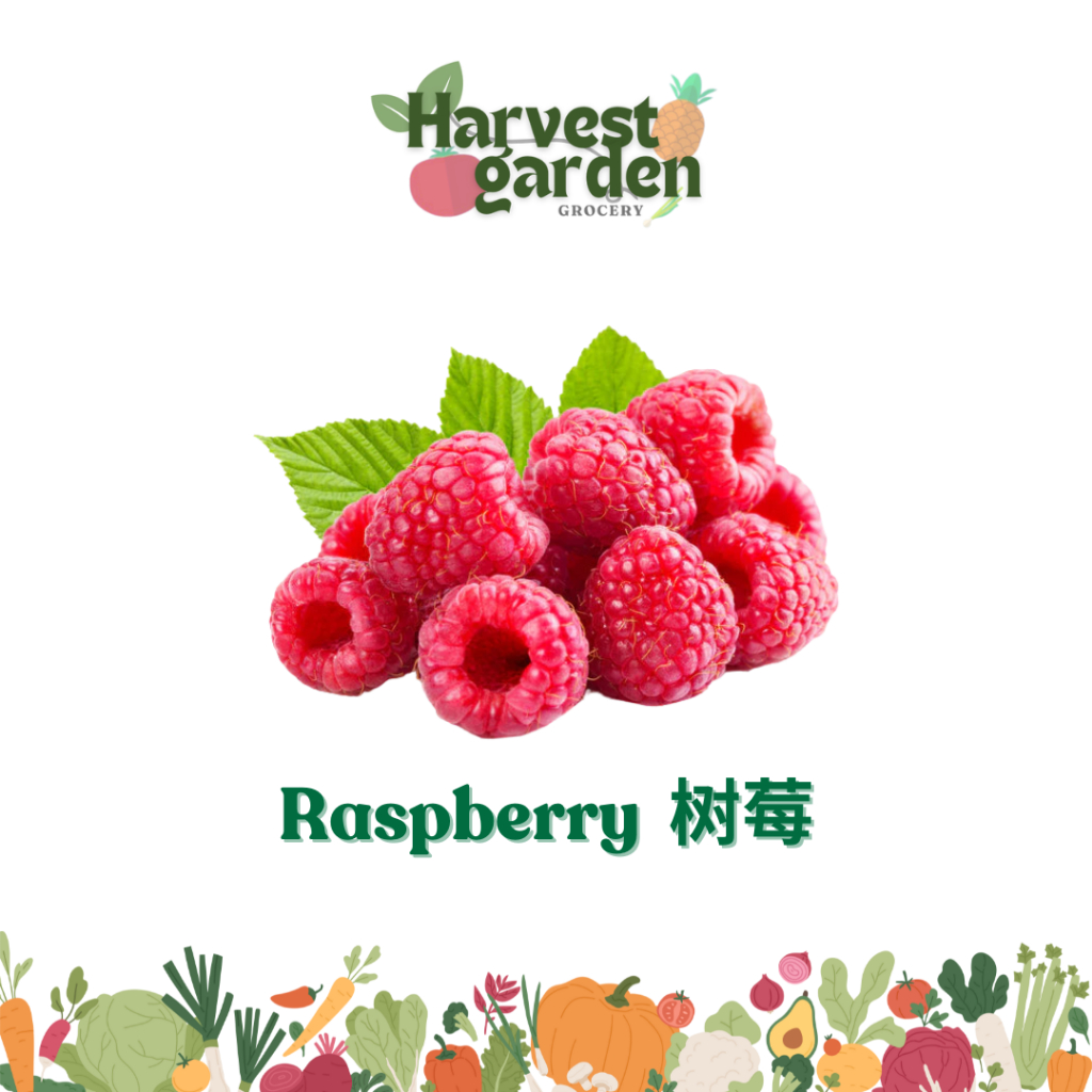 Fresh and Sweet Driscoll's Raspberry // 鲜甜树莓 (125G+/-) | Shopee Malaysia