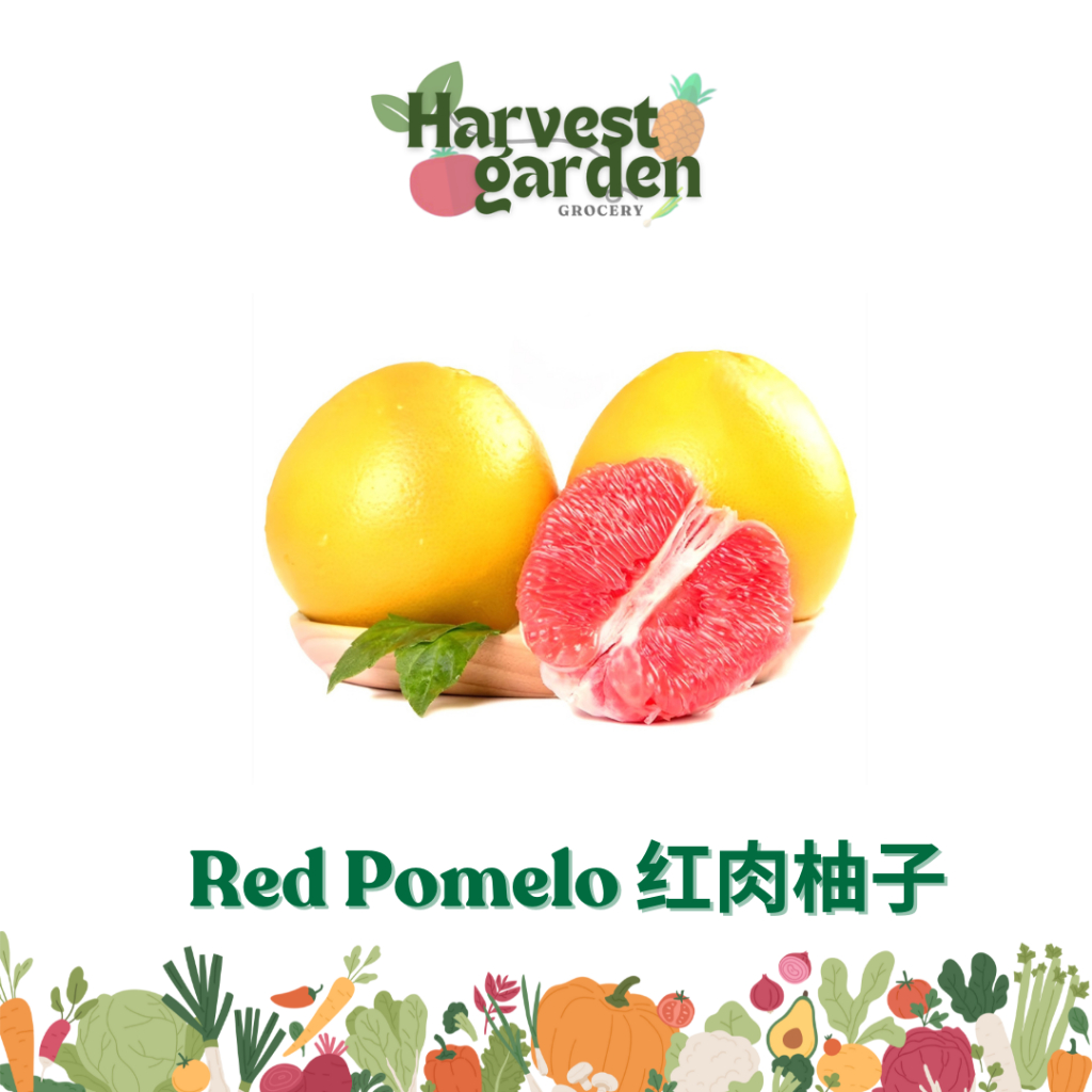 Fragrant and Sweet Red Pomelo // Buah Limau Bali Merah // 香甜红肉柚子 (Size ...
