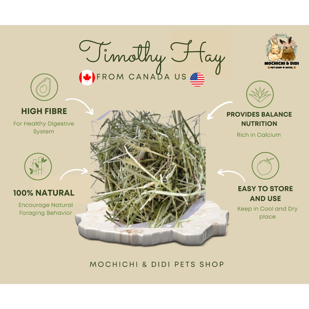 ‼️Timothy hay first cut 1kg／pack 提摩西草 晒干 Timothy second cut/soft 1kg ...