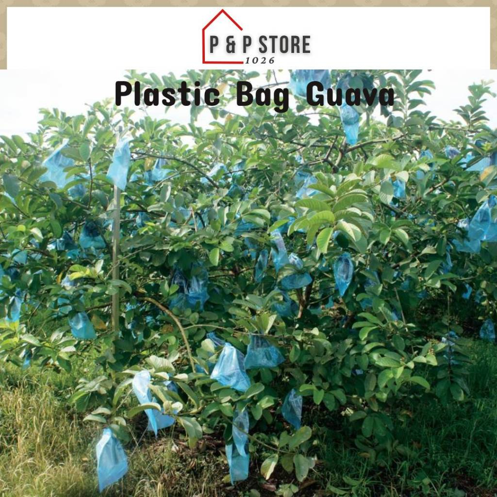 (1kg+/-)Plastic Guava Fruit Bagging Cover/Plastik Beg Jambu/Plastik Beg ...