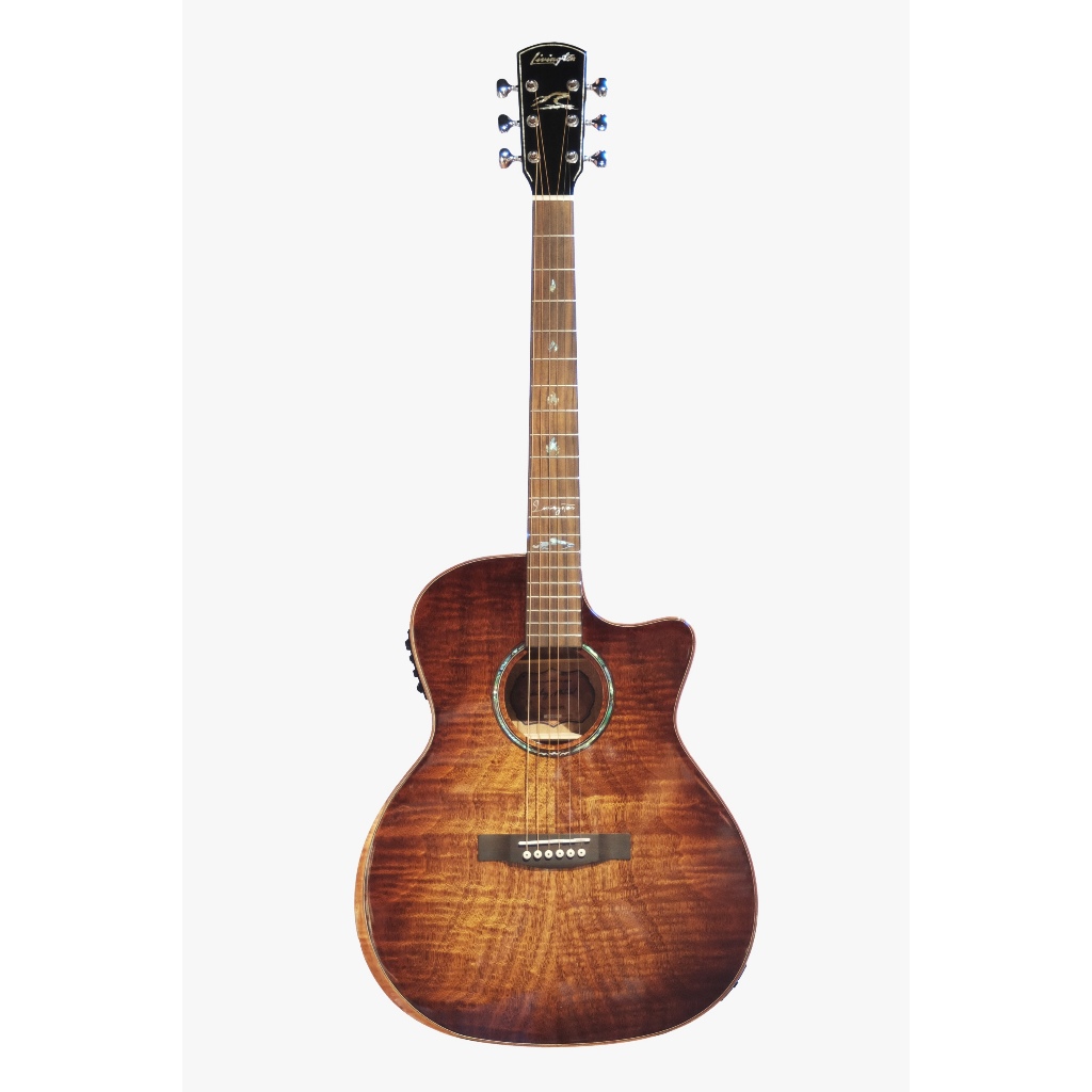 Livingston TCGA-13F-EQ Solid Top Grand Auditorium Acoustic-Electric ...