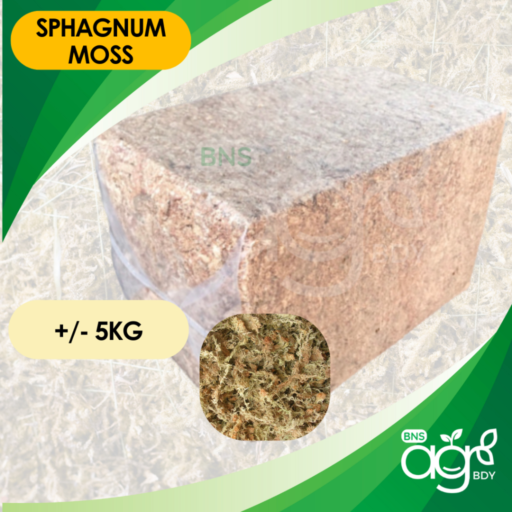 [5KG]AgroBuddy Lumut Sphagnum Kering High Quality Sphagnum Moss ...
