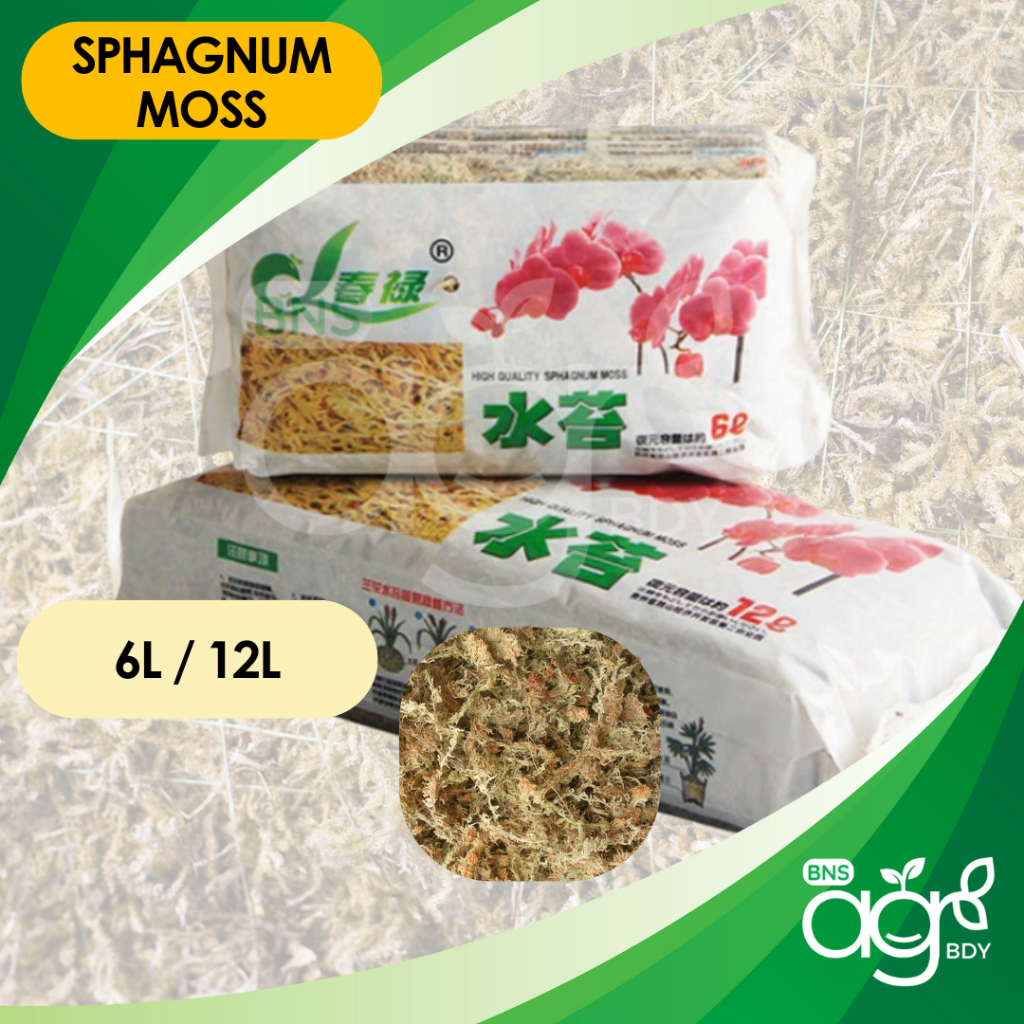 AgroBuddy High Quality Sphagnum Moss Phalaenopsis Orchid Bonsai ...