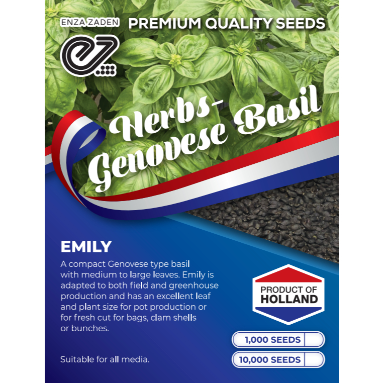 Enza Zaden - Genovese Basil Seed - Emily (Sweet Basil) | Shopee Malaysia