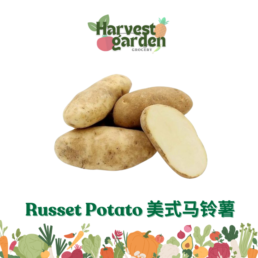 Fresh US Russet Potato / 新鲜美式马铃薯 (XL Size) | Shopee Malaysia