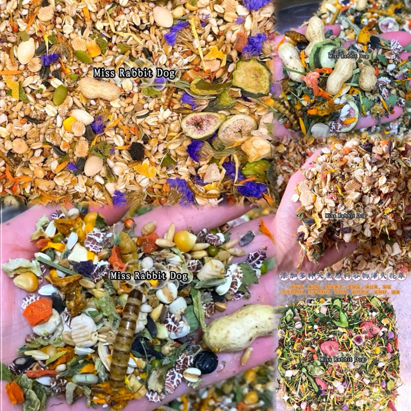 Syrian Hamster Golden foods全价金丝熊波利仓鼠长肉主食自配粮 倉鼠糧食金丝熊粮波利熊粮主粮/黄金 仓鼠粮食 ...