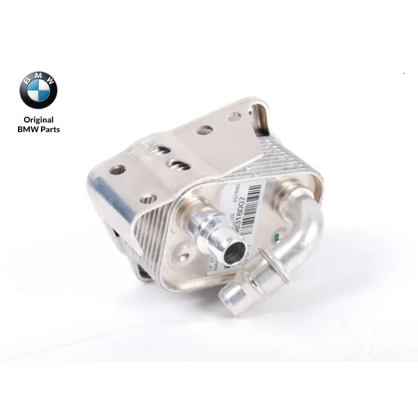 Genuine BMW E46 E81 E82 E83 E84 E85 E87 E88 E90 E92 E60 E61 N40 N42 N43 N45 N46 Engine Oil ...