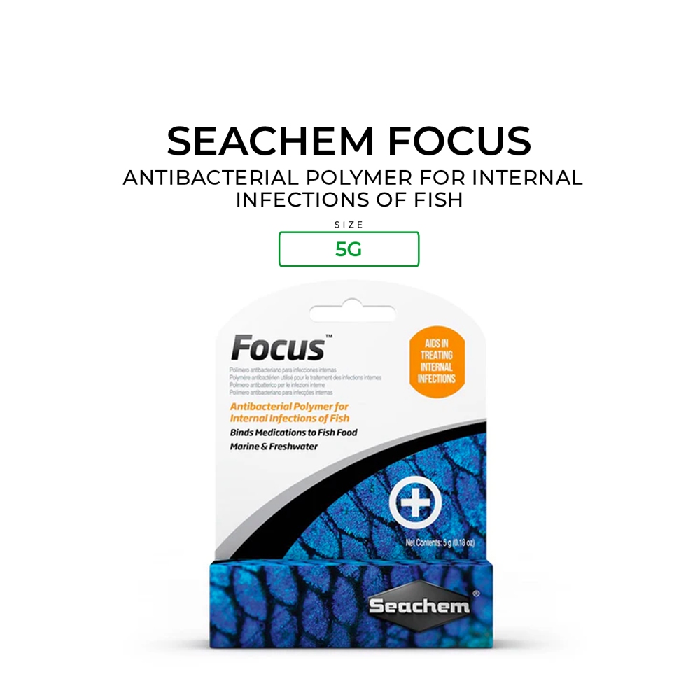 Seachem Focus - for Fish Antibacterial Fungal Parasite treatment (5gm ...
