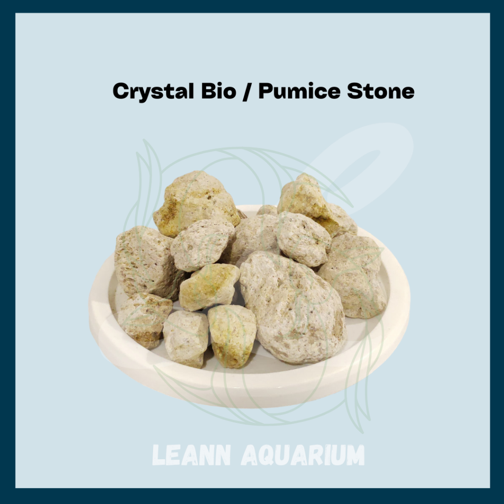 🔥HOT🔥 Crystal Bio/Pumice Stone for Aquarium Filter Media | Shopee Malaysia