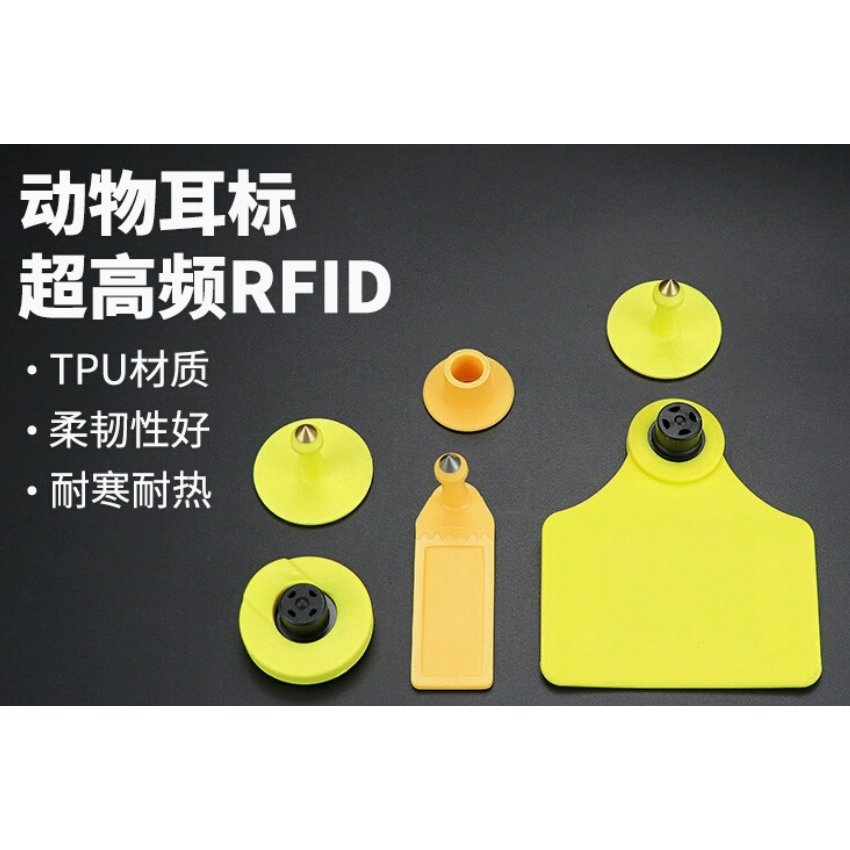 RFID Animal Tags | Pig Ear Tag, Cow Ear Tag, Sheep Ear Tag | UHF & LF ...