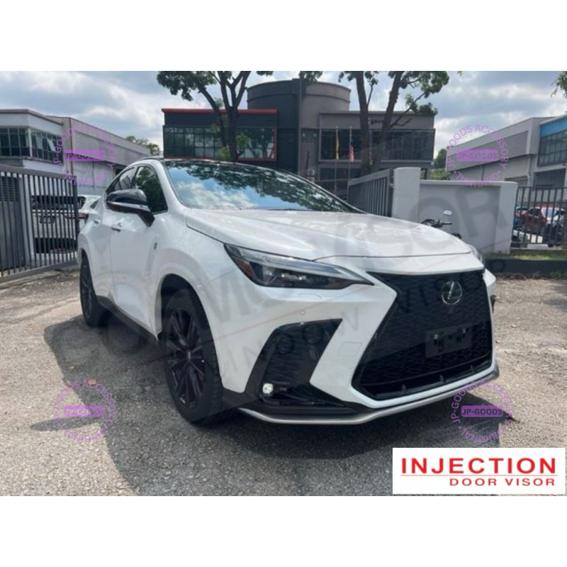 Lexus NX (AZ20) 2022 2023 2024 2025 Injection Door Visor With Stainless ...