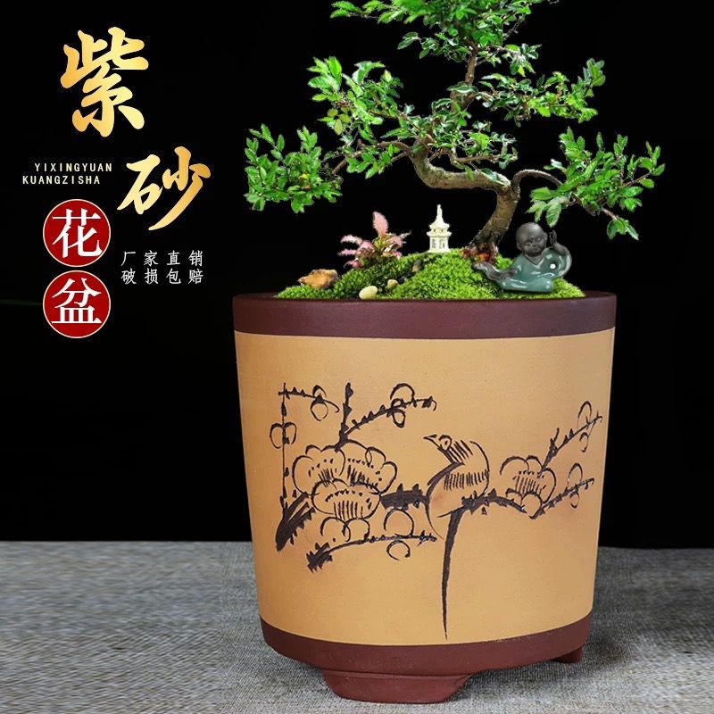 👍💯 ZiSha. Bonsai Pot. Pasu Bonsai. ROUND POT// Pasu BULAT *NORMAL POT ...