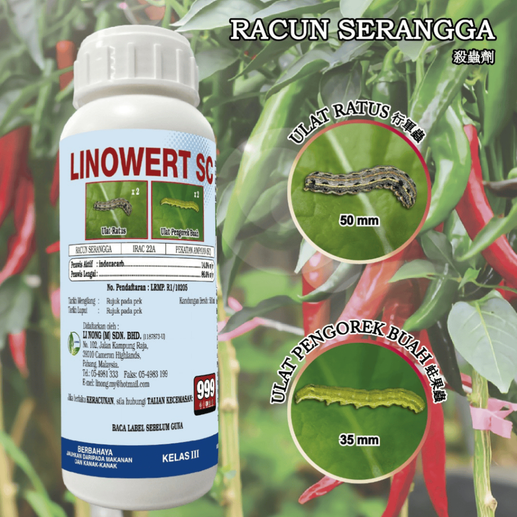(500ml) Racun Serangga Linowert SC / Indoxacarb 14.0% Ulat Pengorek Buah / Ulat Ratus / Pokok ...