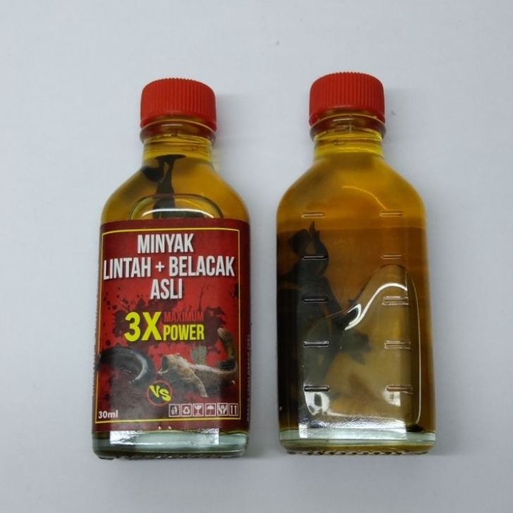 MINYAK LINTAH ASLI BELACAK 3X AKAR URUTAN TRADISIONAL -30ML- | Shopee ...