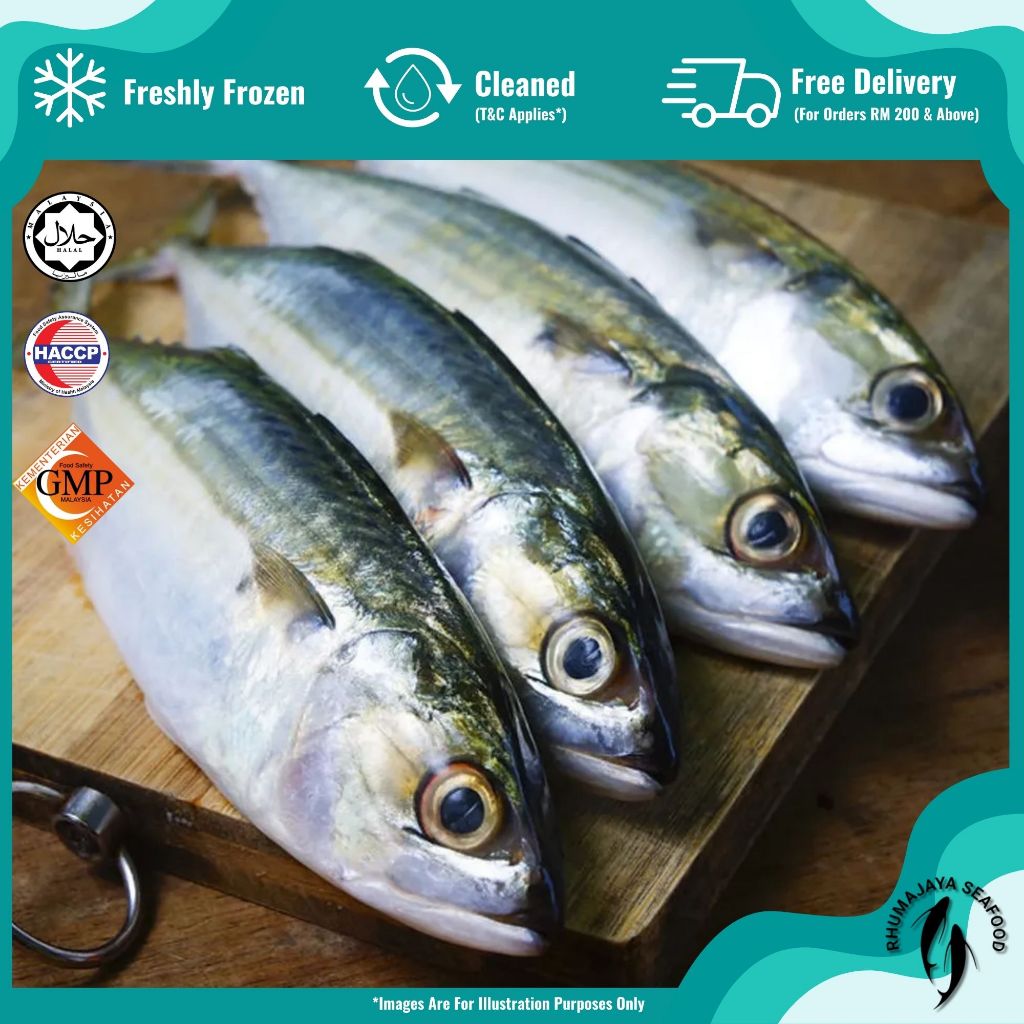 Kembong Whole Cleaned | Rhumajaya Fresh Frozen Seafood (RMJ) | Shopee ...