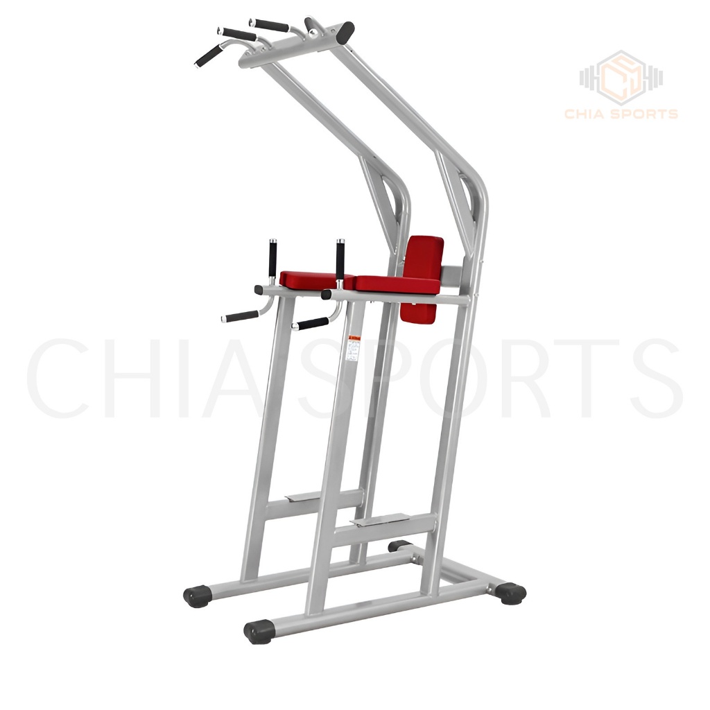 Commercial Chin Dip Leg Raise Station Pull Up Dip Bar Knee Abdominal ...