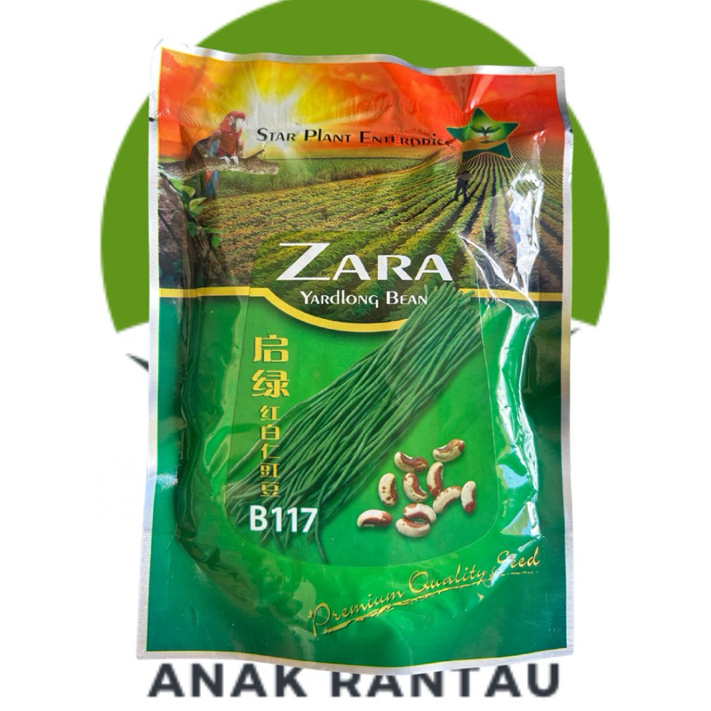 BENIH KACANG PANJANG ZARA B117 200GRAM +- 900 BIJI /LONG BEAN SEED ...