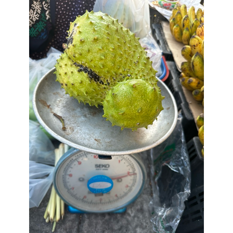 SEBIJI BUAH DURIAN BELANDA | SOURSOP (1.5kg ++) | Shopee Malaysia