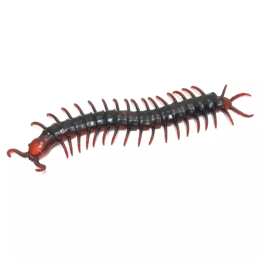 READY STOCK 1 pcs fake Centipede , rubber centipede 60 cm prank toys ...